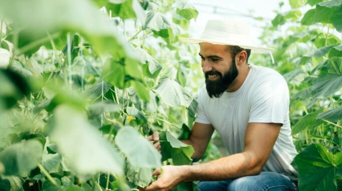 5 inspiring TED talks on how to create sustainable food producing ...